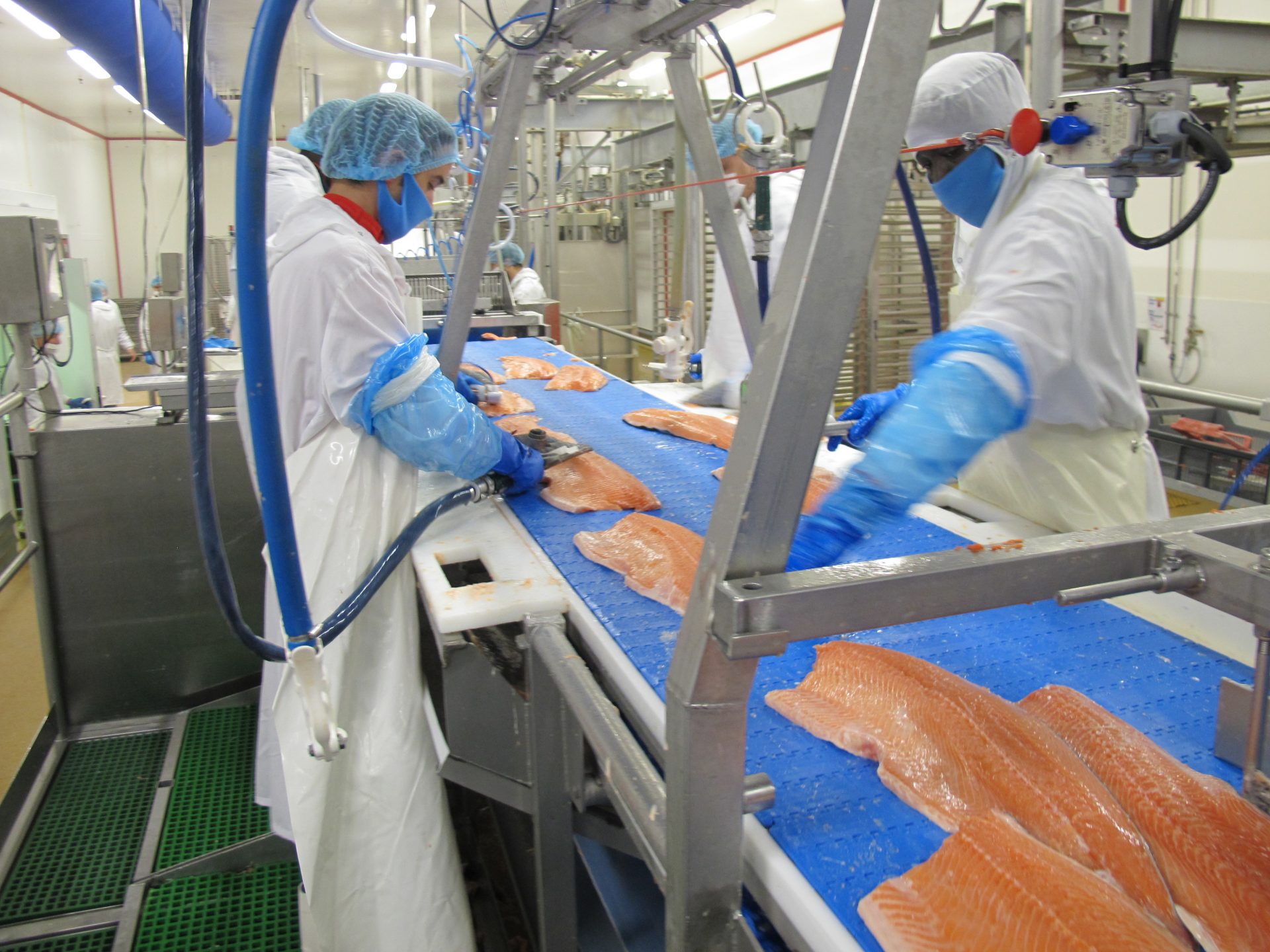 Les acteurs des saumon et truite fumés sereins pour les fêtes - RIA - L ...